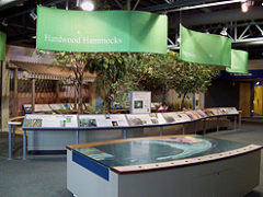 Florida Keys Eco-Discovery Center | Key West Travel Guide - Visitor ...