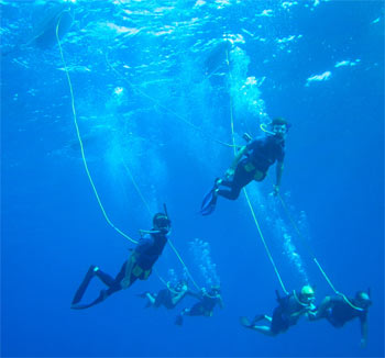 SNUBA | Key West Travel Guide - Visitor Information for Key West, FL in ...