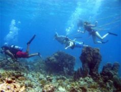 SNUBA | Key West Travel Guide - Visitor Information for Key West, FL in ...